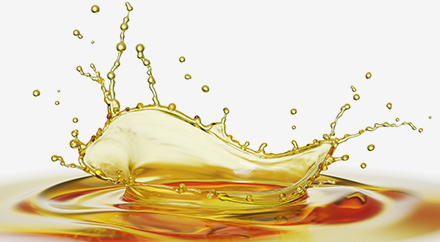 Good Night Drops ( Full Spectrum) I For Nighttime Relaxation – FOCL